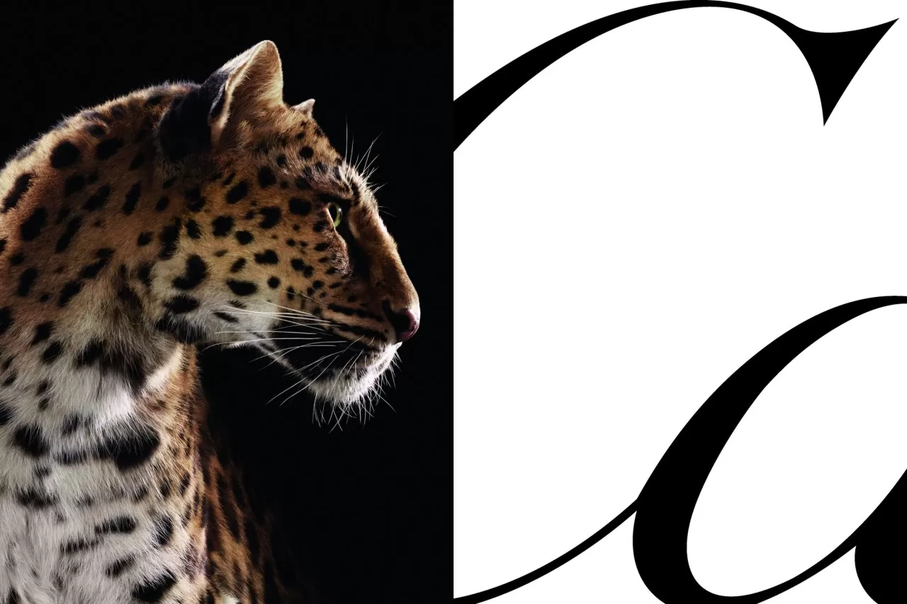 Cartier surprises with its new global campaign starring the panther